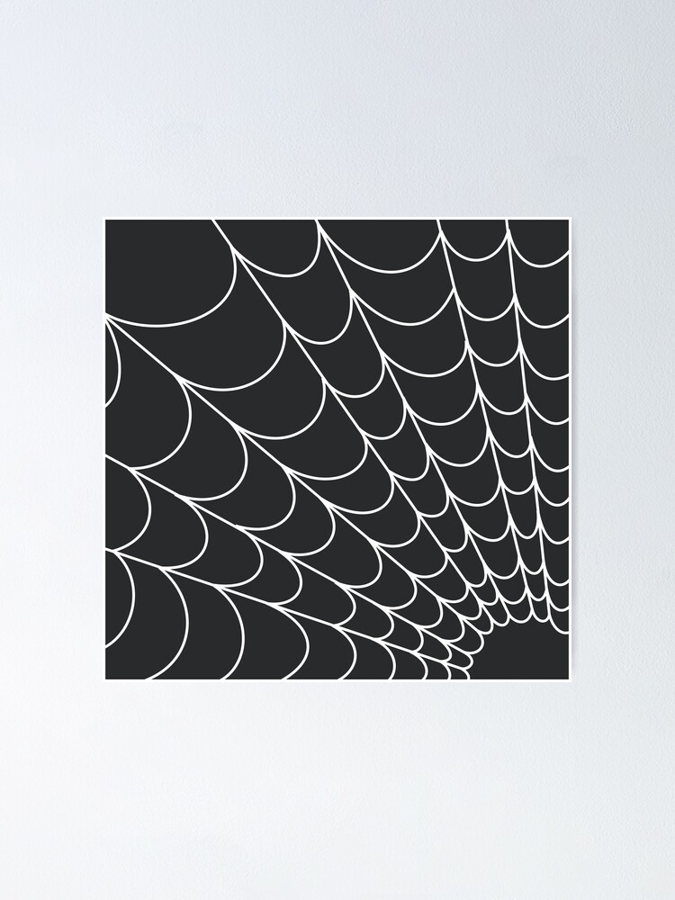 "Comprehensive Spider Web Visual Art" Poster for Sale by mrtzms | Redbubble