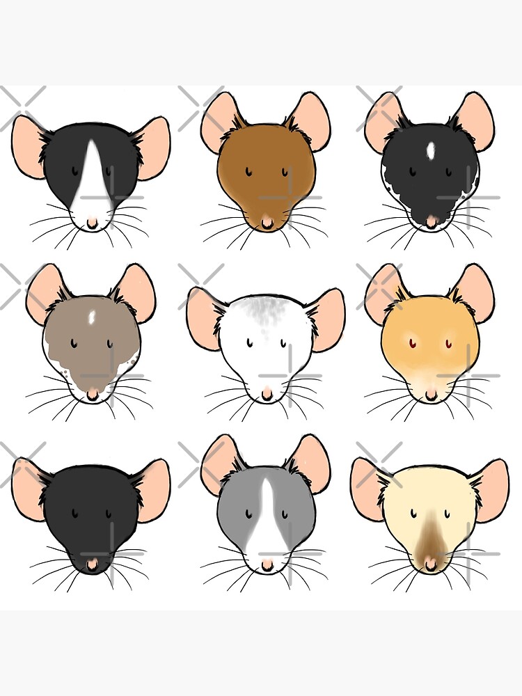 "Ratty Faces" Art Print by sillybadger | Redbubble