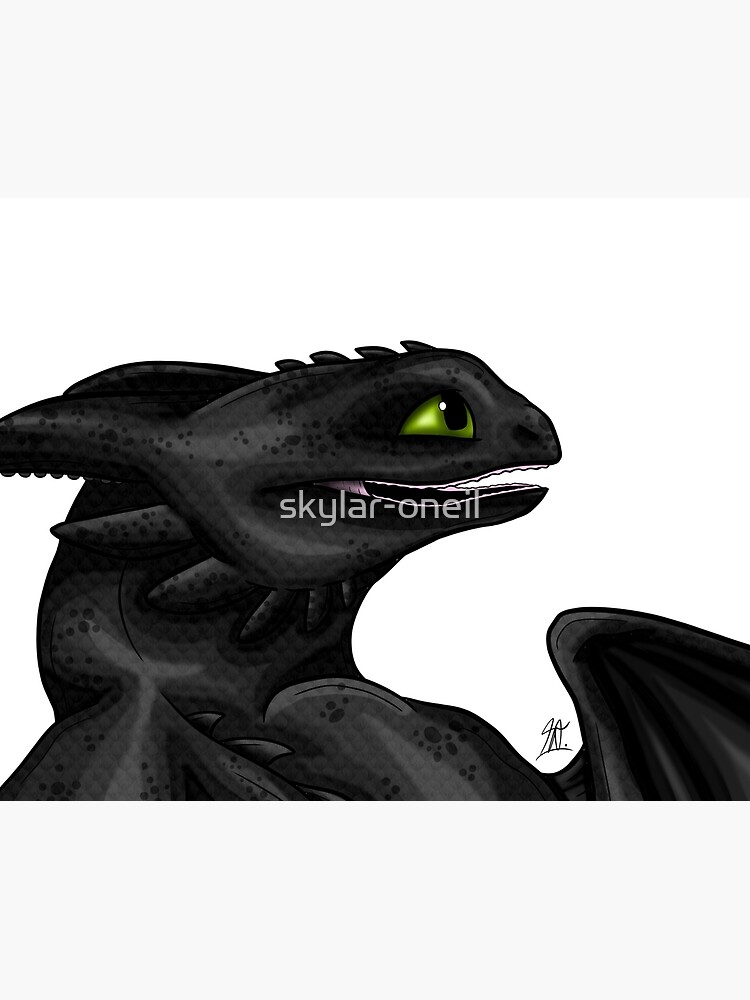 "HTTYD Happy Toothless" Art Print for Sale by skylar-oneil | Redbubble