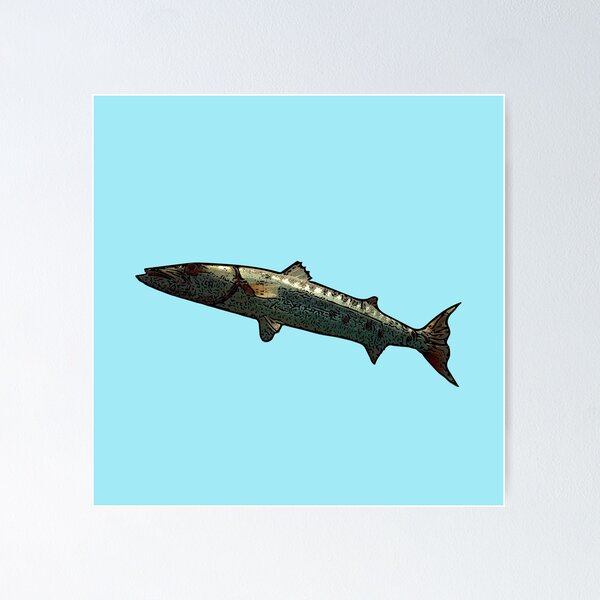 "Great Barracuda Black Alternate Print " Poster for Sale by ...