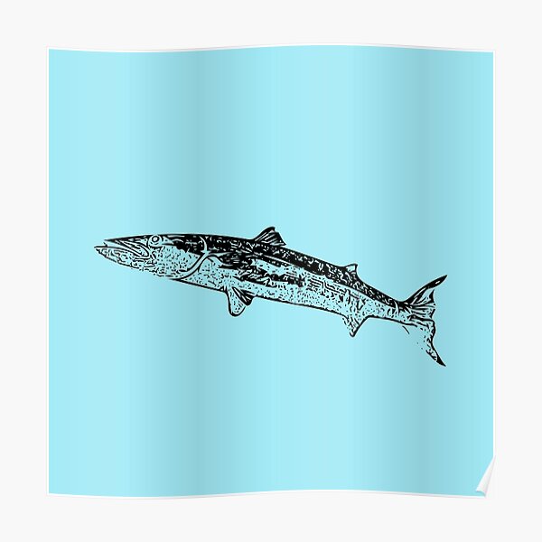 "Great Barracuda Black Print" Poster for Sale by designsasstultd ...
