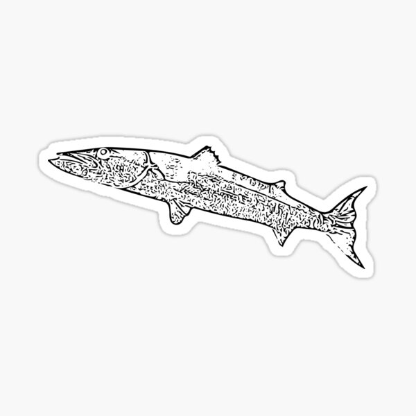 "Great Barracuda Thin Black Print" Sticker for Sale by designsasstultd ...