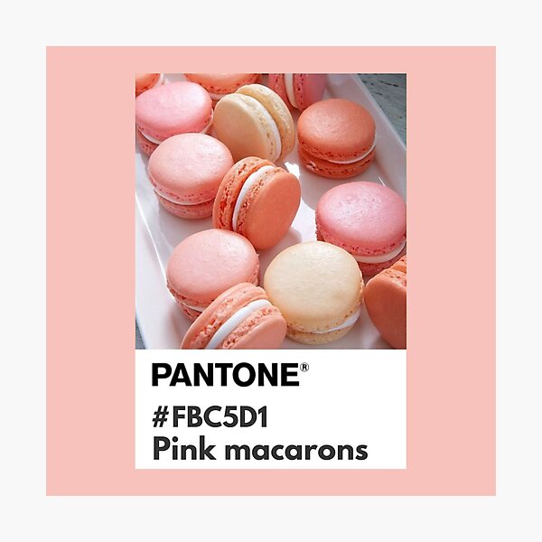 "Pink macarons pantone colors " Photographic Print for Sale by ...
