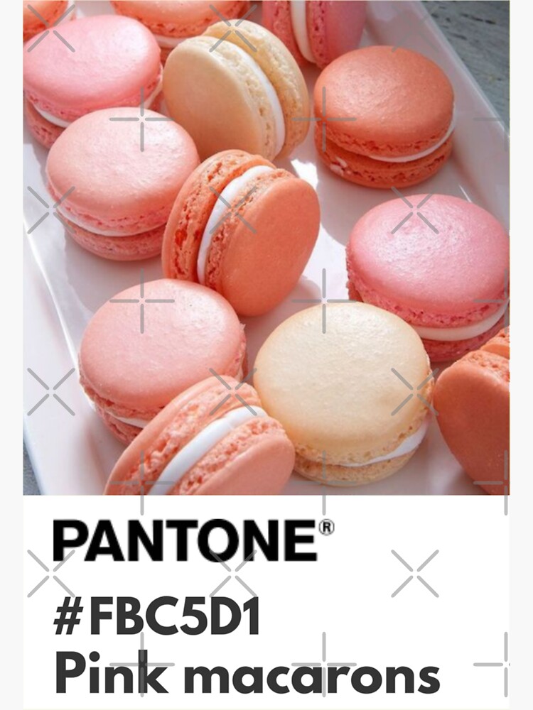 "Pink macarons pantone colors " Sticker for Sale by softlycarol | Redbubble