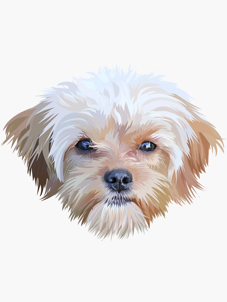 "Cavapoo" Sticker for Sale by KoebelDesigns | Redbubble