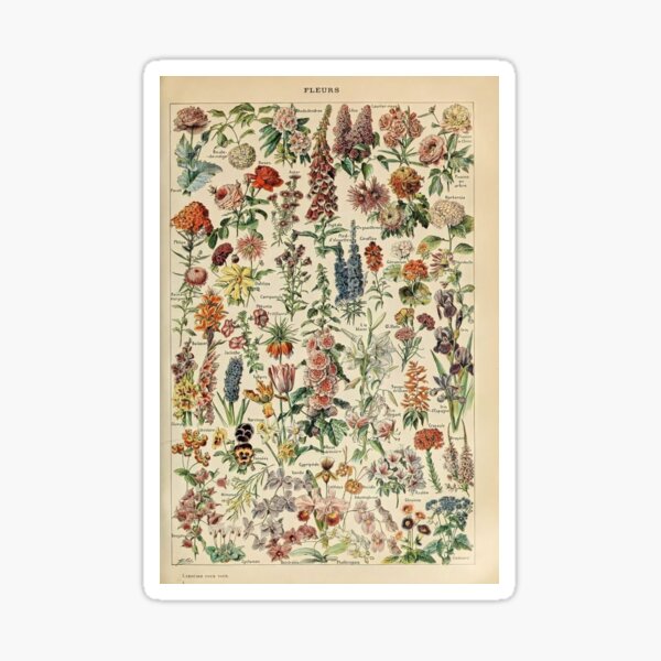 "Indie Flowers poster" Sticker for Sale by Lillirosee | Redbubble