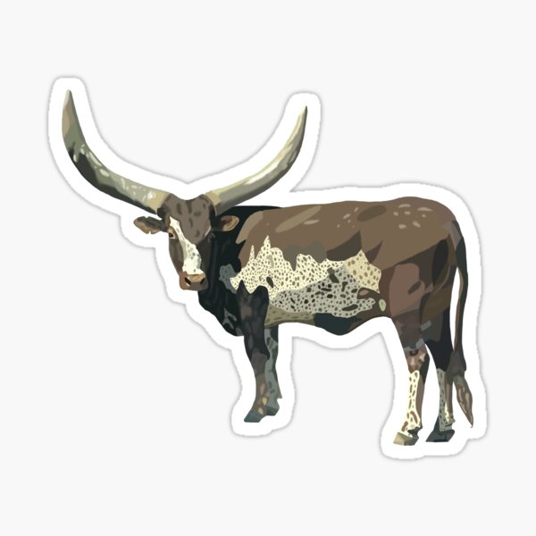 "Watusi Cow" Sticker for Sale by hcubed22 | Redbubble