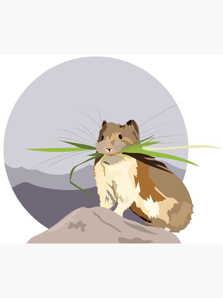 "American Pika" Poster for Sale by WapitiStudios | Redbubble