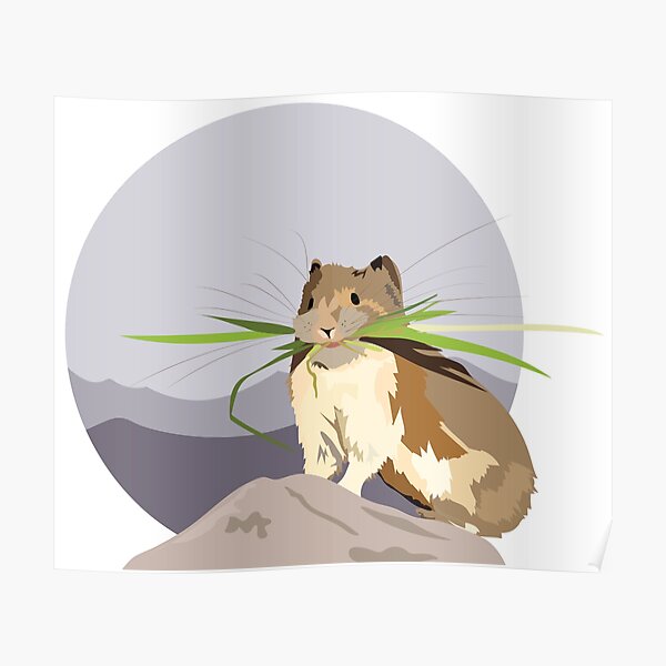 "American Pika" Poster for Sale by WapitiStudios | Redbubble
