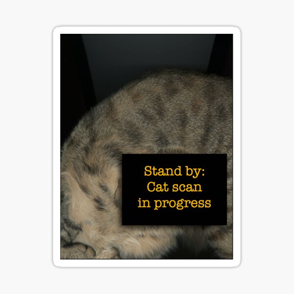 "Cat Scan " Sticker for Sale by vpreuss | Redbubble