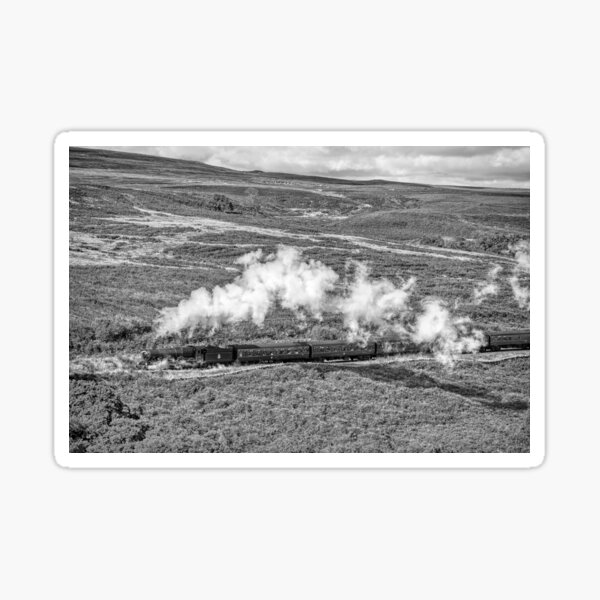 "King Edward II - Black and White" Sticker for Sale by SteveHClark ...