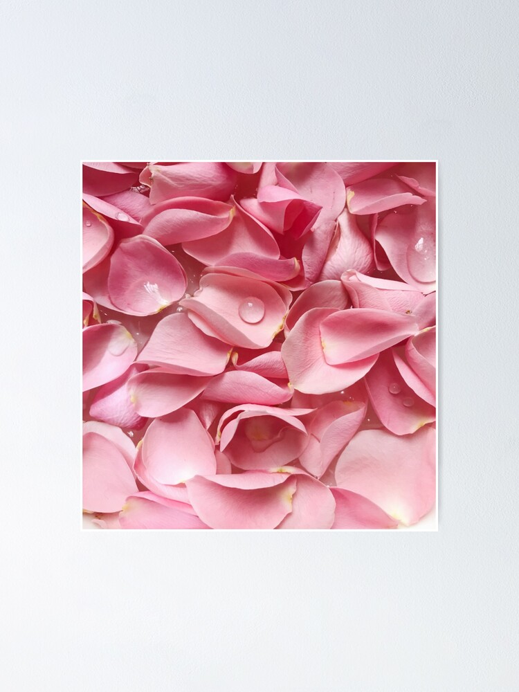"Pink Roses " Poster for Sale by ThePrintCrafty | Redbubble