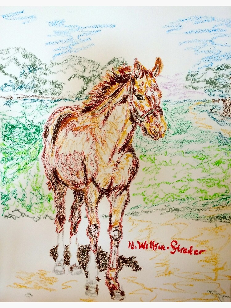 "Baby Secretariat" Art Print by NWillsonStrader | Redbubble