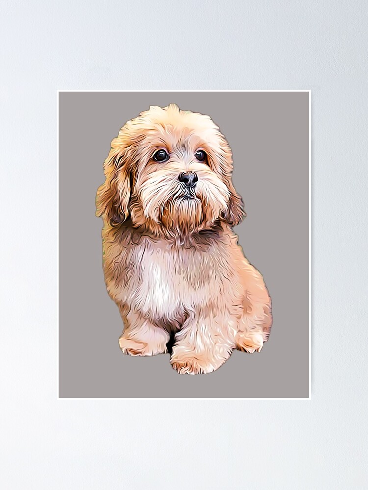 "Shihpoo Shipoo Doodle Poodle Cutie Pie!" Poster by ElegantCat | Redbubble