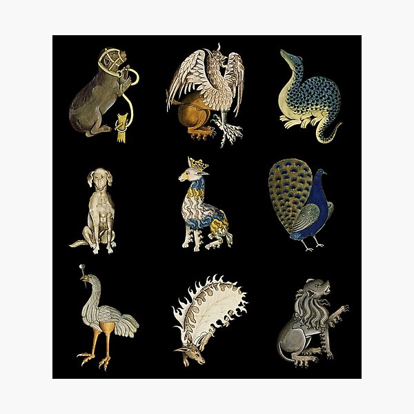 "Medieval and Tudor Beasts, Creatures and Animals Black" Photographic ...