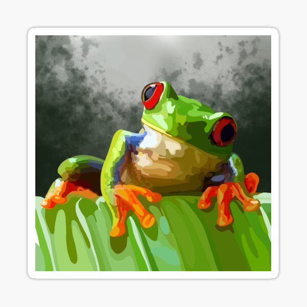 "Red eyed tree frog" Sticker for Sale by OutLife | Redbubble