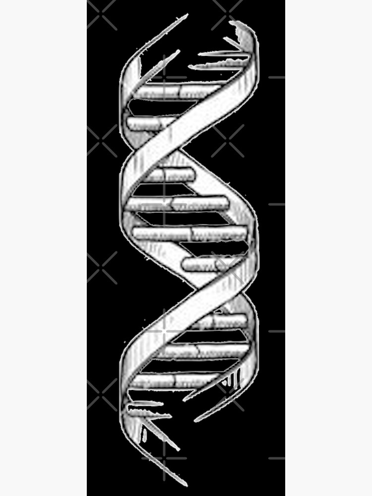"DNA" Sticker by glorialam | Redbubble