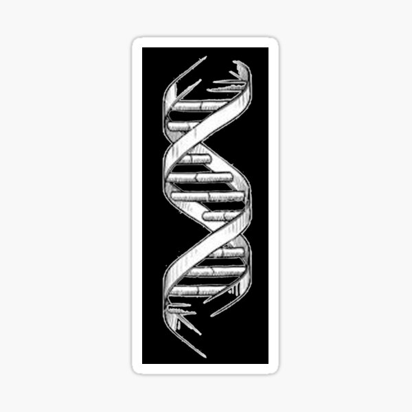 "DNA" Sticker by glorialam | Redbubble