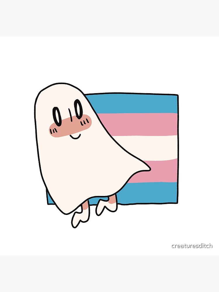 "ghost transgender pride flag" Poster for Sale by creaturesditch ...