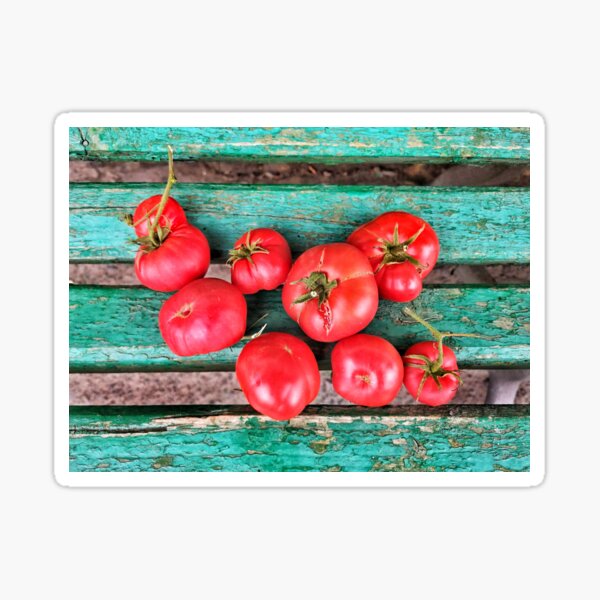 "Villager " Sticker by Lenock | Redbubble