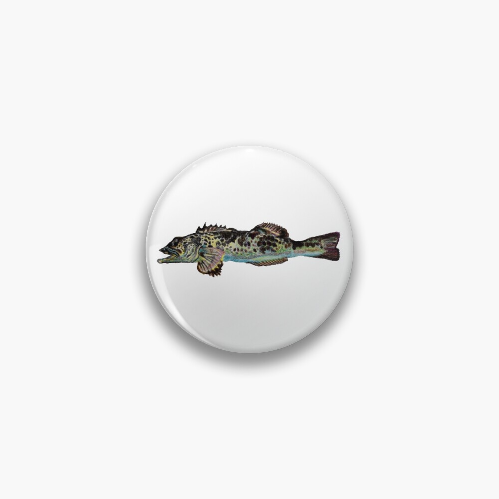 "Blue Lingcod" Sticker for Sale by Zig-art | Redbubble