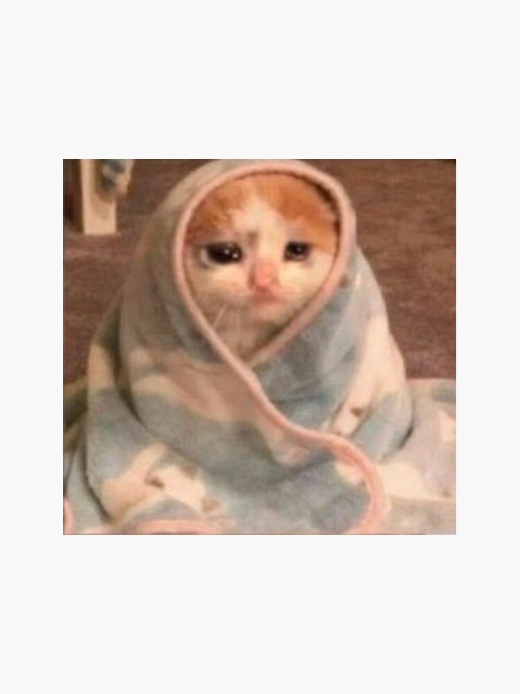 Gatito Llorando Gatito Que Llora De Emoción Al Oír A Su Dueña Se