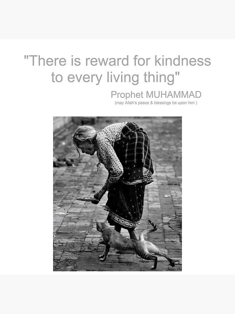"Prophet MUHAMMAD (PBUH): "There is reward for kindness to every living ...