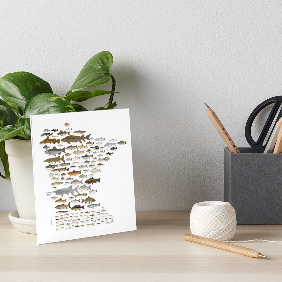"Fishes of Minnesota" Poster for Sale by andybirkey | Redbubble
