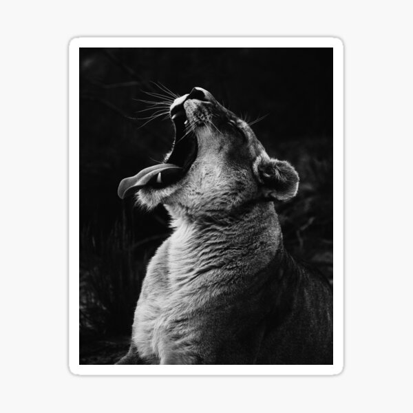 "Lion Roaring" Sticker for Sale by UniteDIdeas | Redbubble