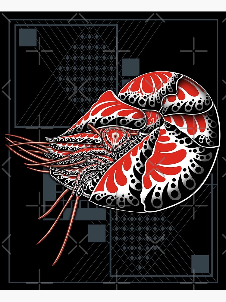 "Nautilus White & Red V2" Poster for Sale by HexOne | Redbubble