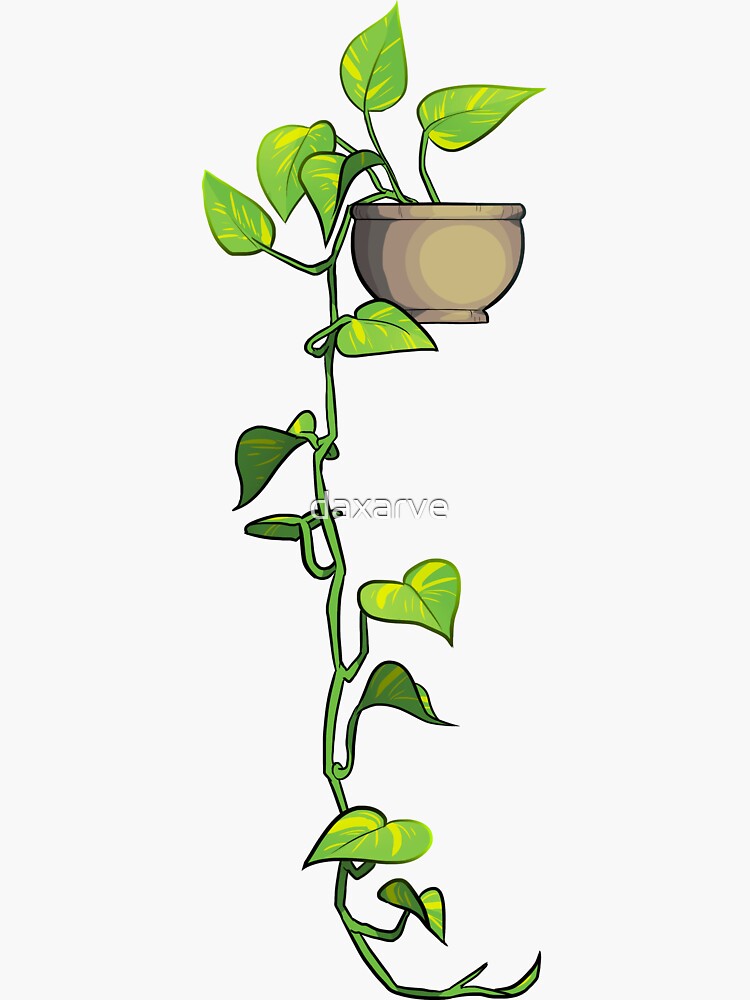 "Pothos" Sticker for Sale by daxarve | Redbubble