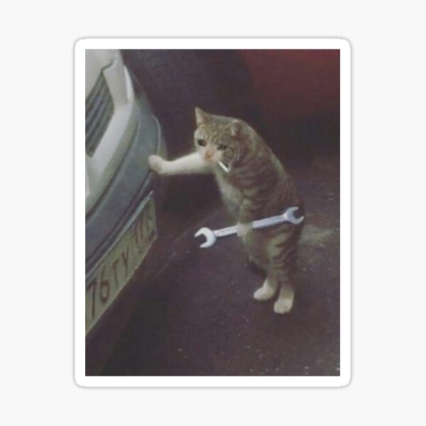 "car repair cat meme" Sticker for Sale by K-MEMEshop | Redbubble