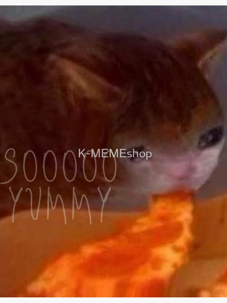 "so yummy cat meme" Sticker by K-MEMEshop | Redbubble