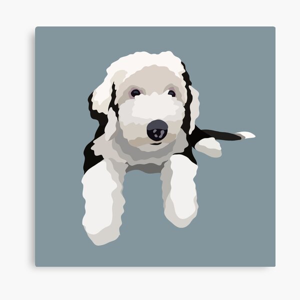 "Sheepadoodle Dog Portrait Digital Illustration" Canvas Print by ...