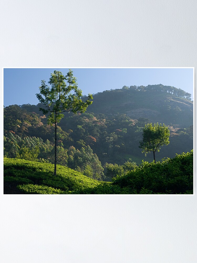 "SKN 6765 GRANDEUR OF MUNNAR. Color" Poster by SSK11101957 | Redbubble