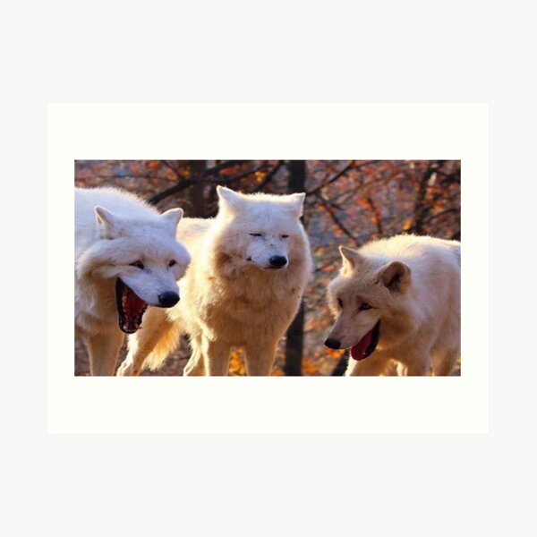 "Laughing wolves meme" Art Print for Sale by BrentVergote | Redbubble