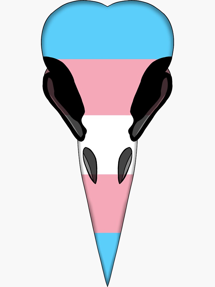 "Trans Flag Raven Skull" Sticker by PrideSkullz | Redbubble