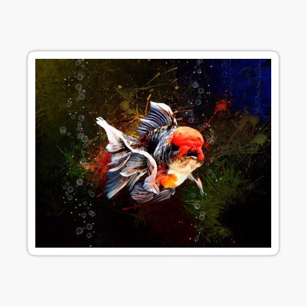 "Calico Oranda Goldfish Aquatic Portrait " Sticker for Sale by Digital ...