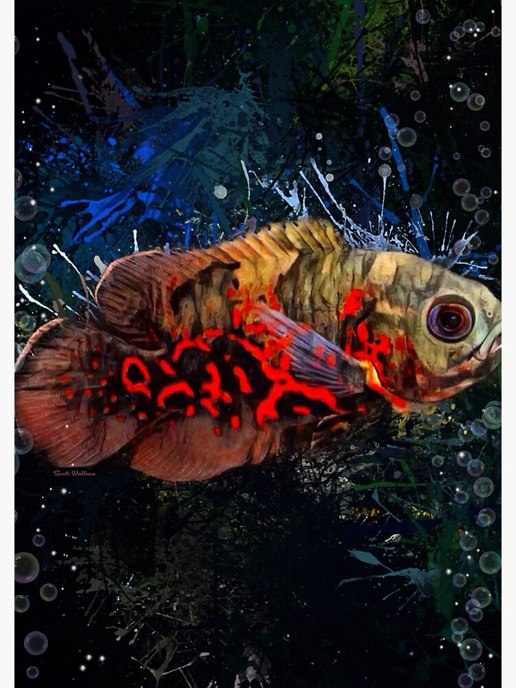 "A Juvenile Tiger Oscar Portrait " Spiral Notebook for Sale by Digital ...