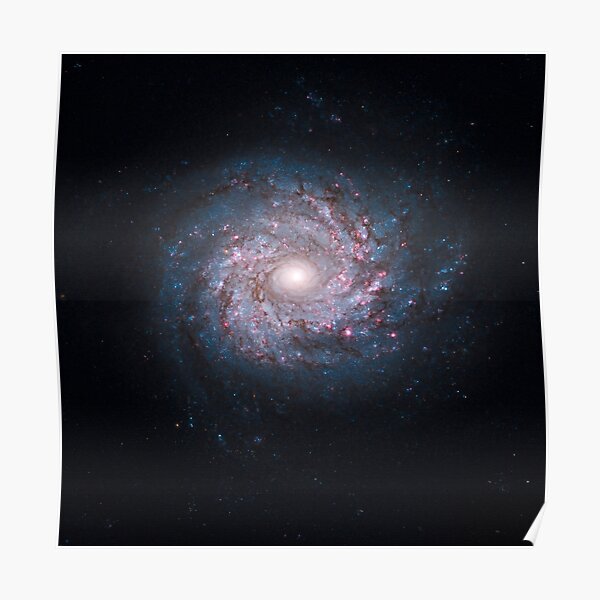 Póster «Galaxia espiral cara a cara NGC 3982.» de StocktrekImages ...