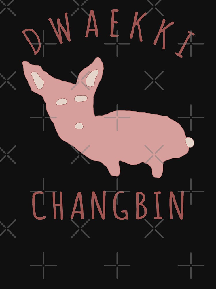 "STRAY KIDS Dwaekki Changbin Pig Rabbit Cute Funny Meme" T-shirt for ...