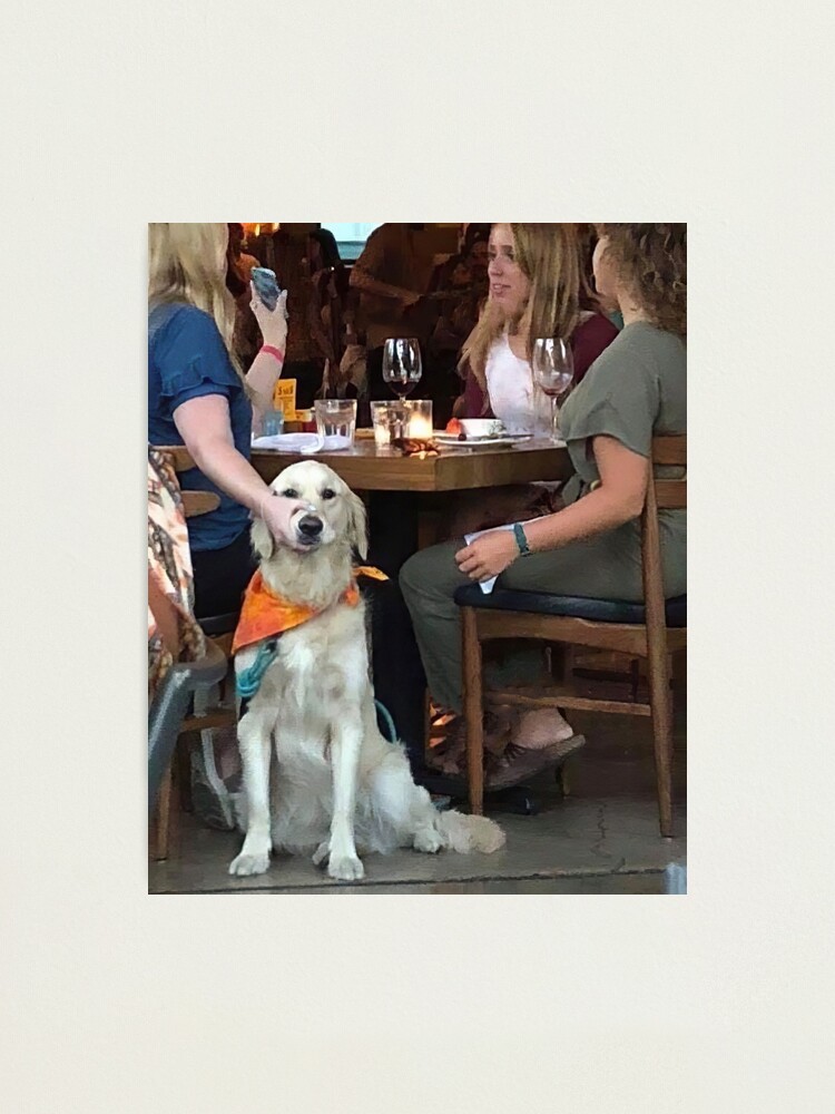 "Woman holding dog's mouth shut meme" Photographic Print for Sale by ...