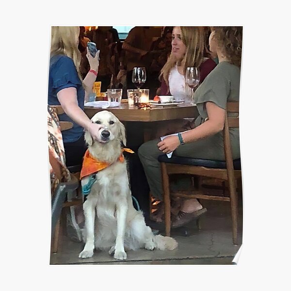 "Woman holding dog's mouth shut meme" Poster for Sale by digitul ...