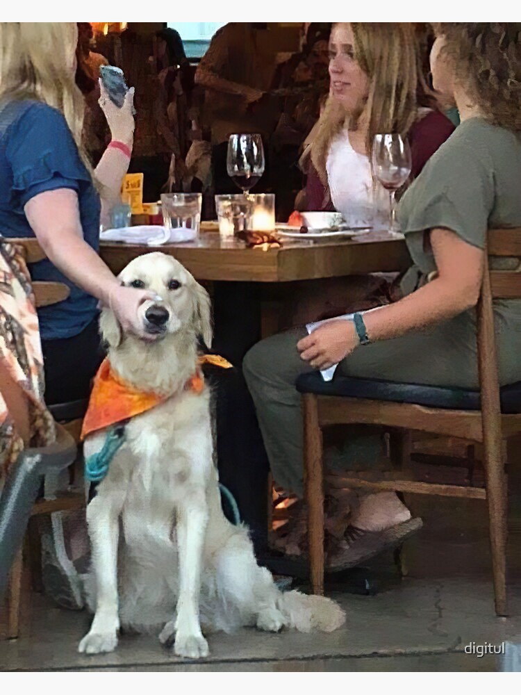 "Woman holding dog's mouth shut meme" Sticker for Sale by digitul ...