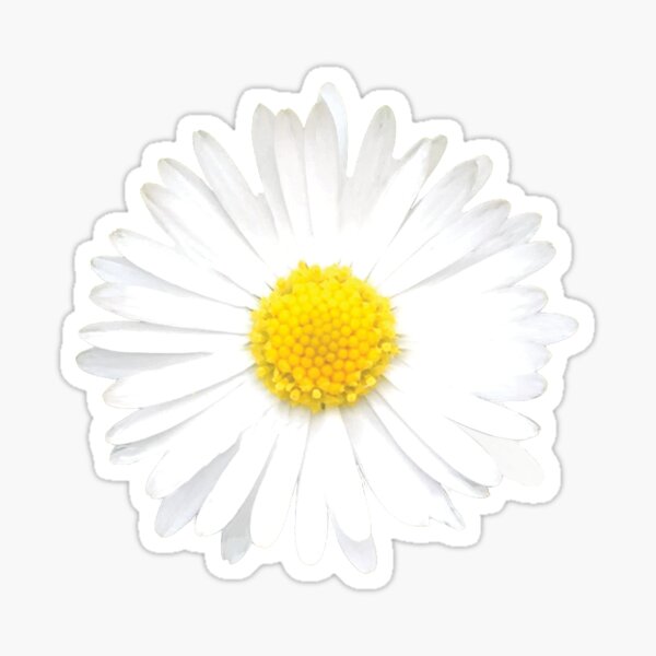 "White Daisy Flower" Sticker for Sale by PixelOnFire | Redbubble