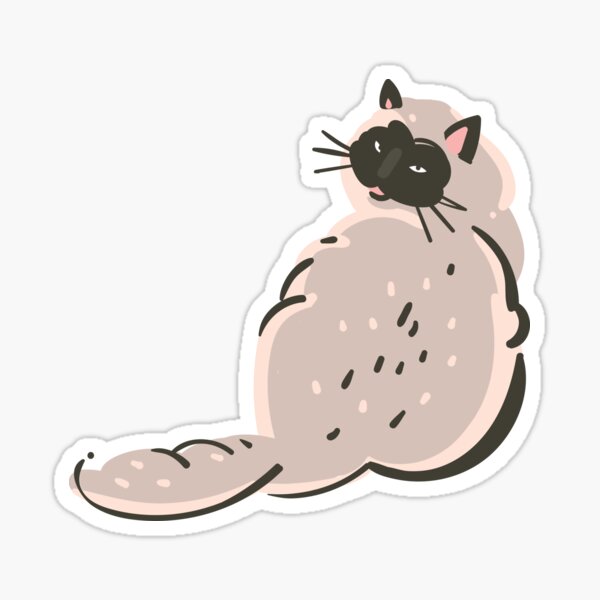 "Shy cute kitty cat " Sticker for Sale by bishoysaied | Redbubble