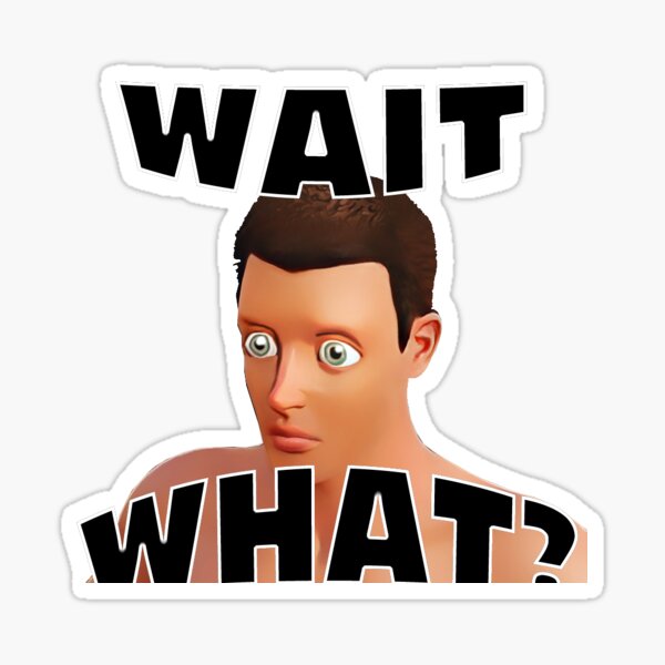 "Wait What?" Sticker for Sale by StormyMuse | Redbubble