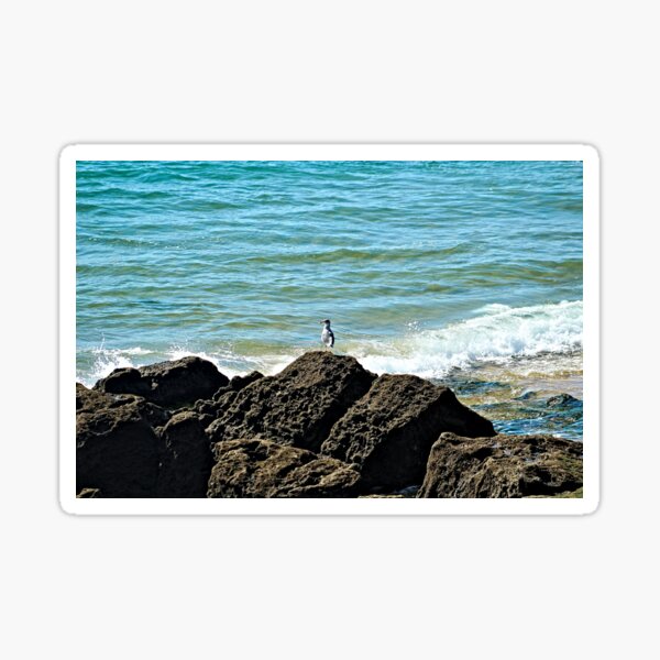 "Coastal Ocean Rocks Seagull Seashore Seascape" Sticker by oknoki ...