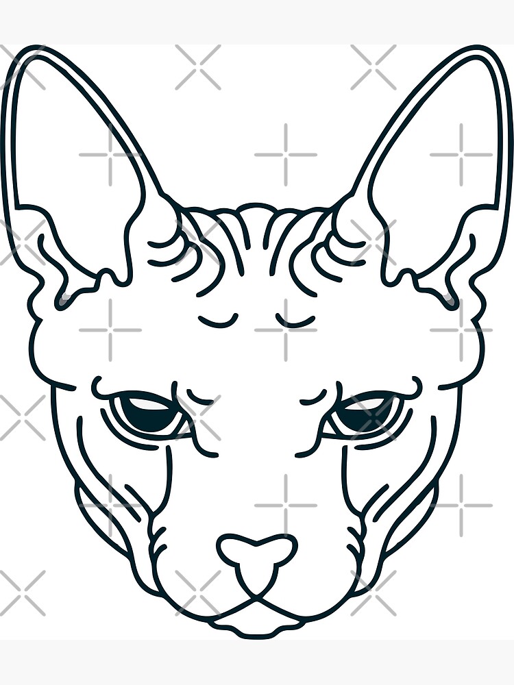 "Sphynx Cat Outline" Poster by spyCee | Redbubble