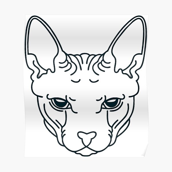 "Sphynx Cat Outline" Poster by spyCee | Redbubble